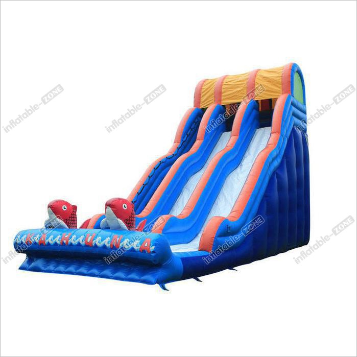 Garden Outdoor Inflatable Dry Slide, Big Party Cartoon Toddler Blow Up